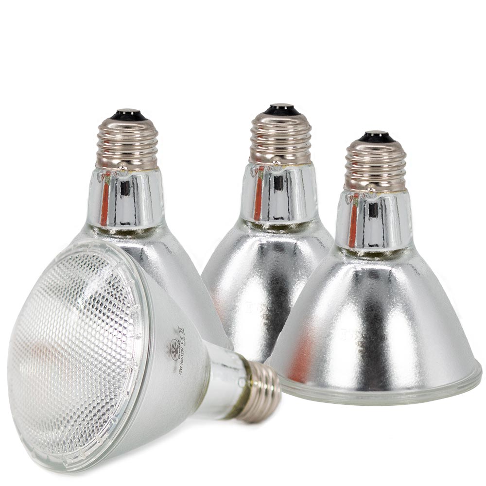Pangea Halogen Heat Bulb – Pangea Wholesale